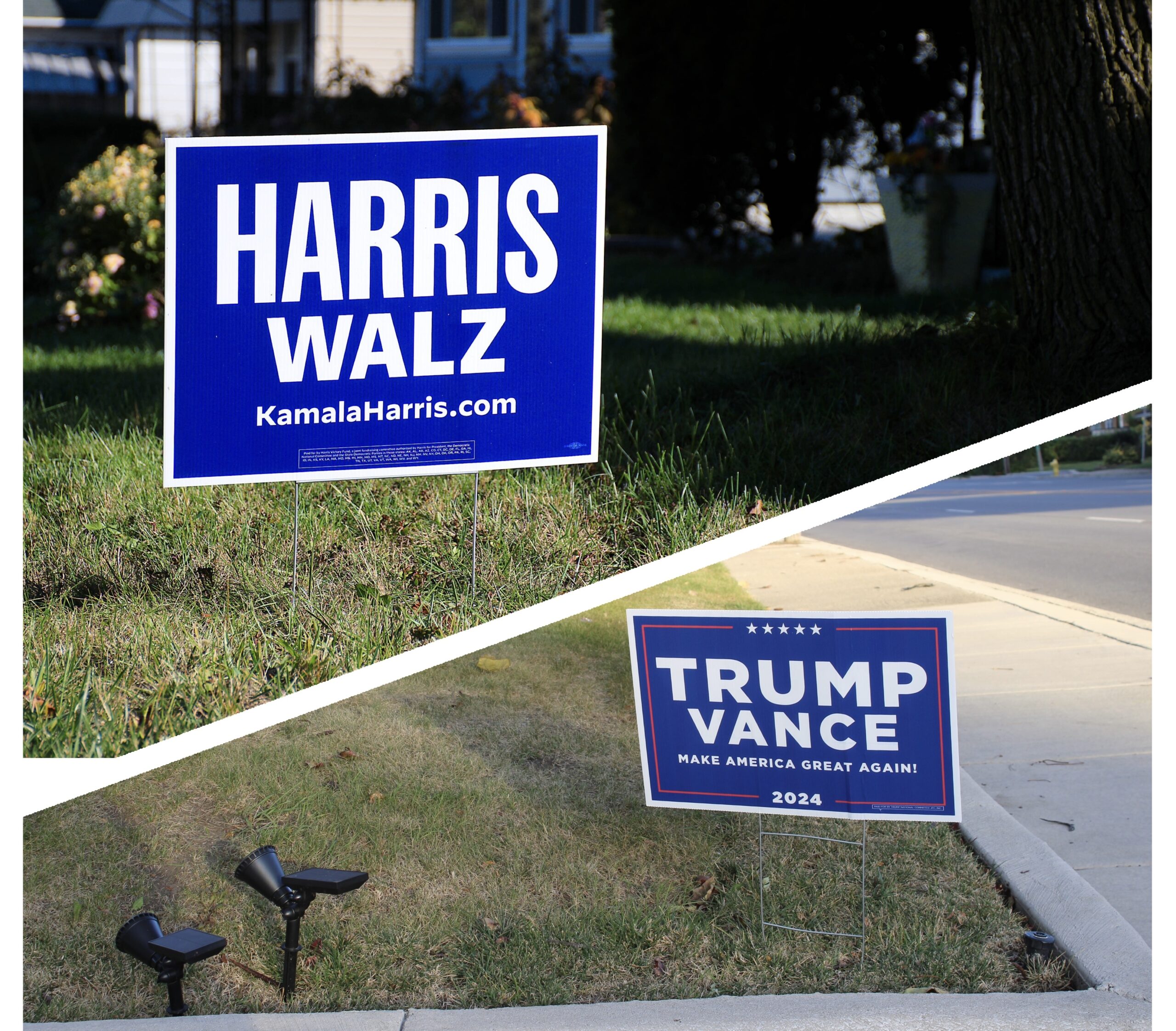 Beware The Yard Sign Thieves! - Vicky Ward